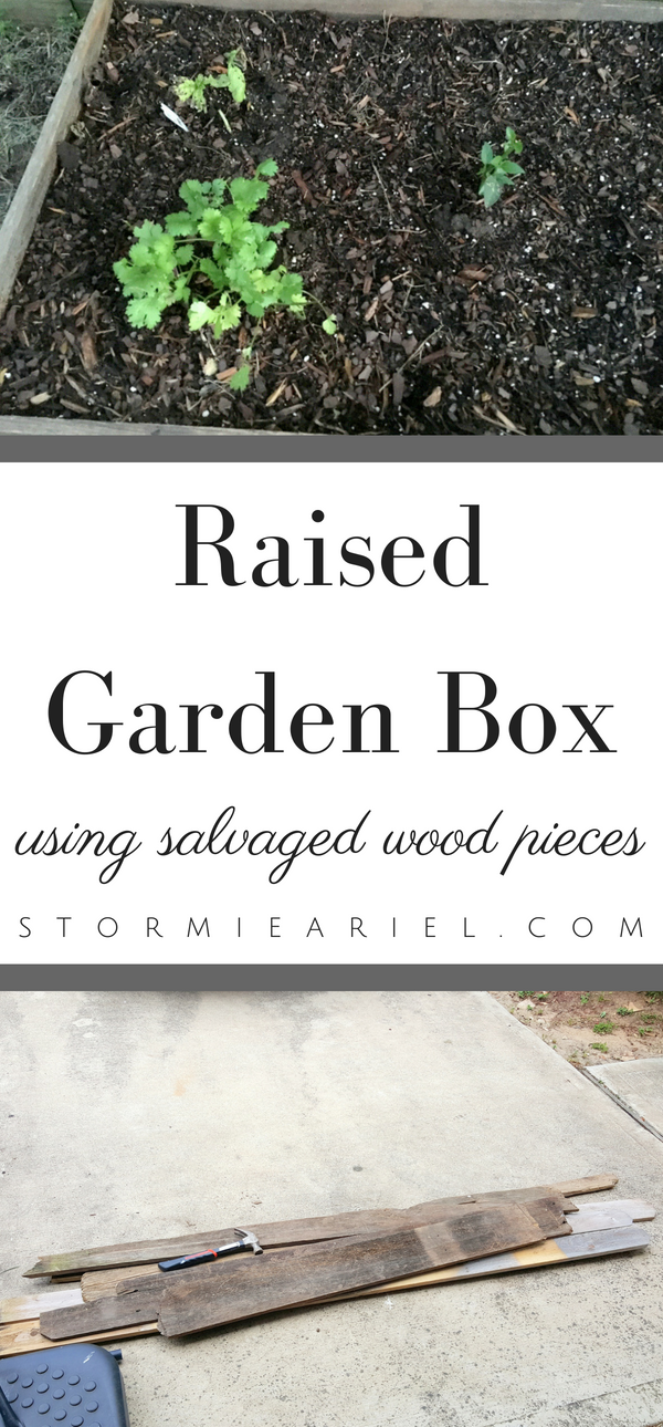 stormieariel: Salvaged Garden Box