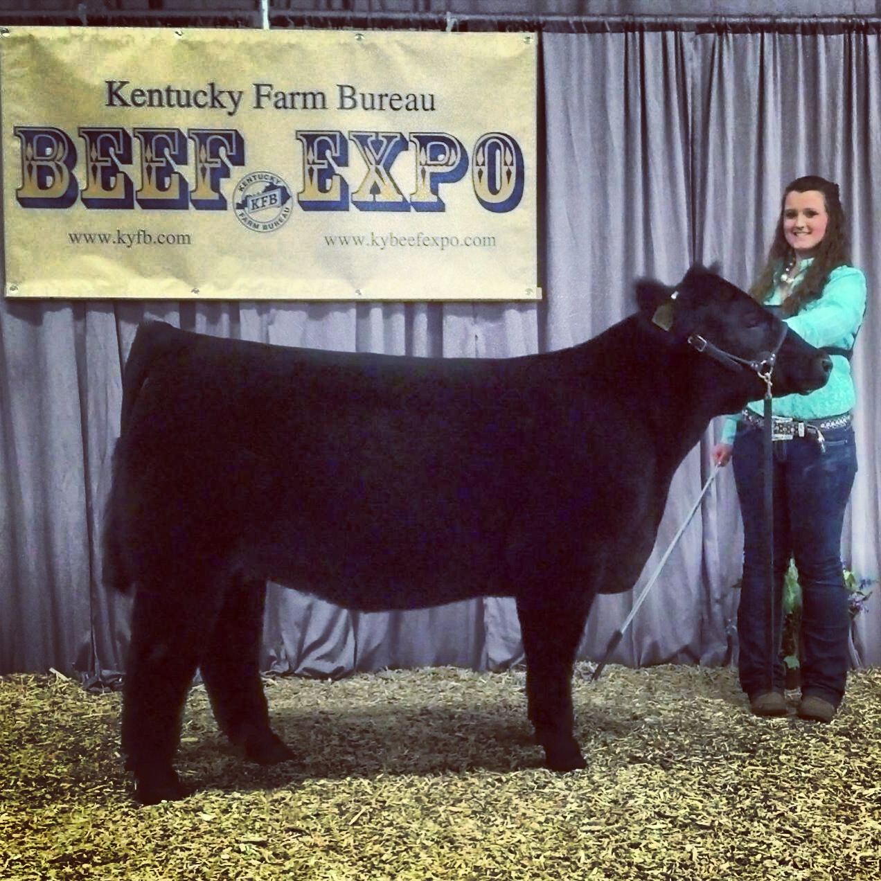 DIAMOND G CATTLE CO.: From Taylor Burgess - Virginia