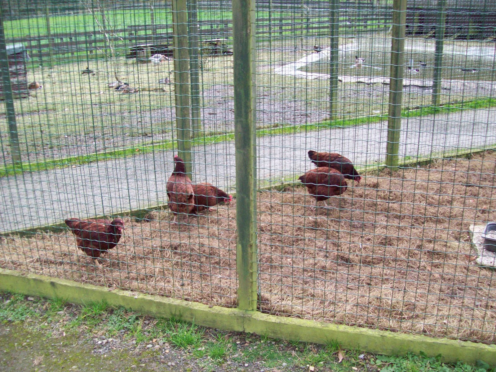 Talk From The Timber: October 2011