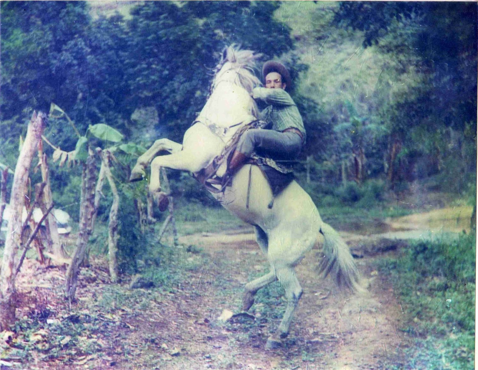 DESDE VILLA DE CURA: A MI NOBLE CORCEL