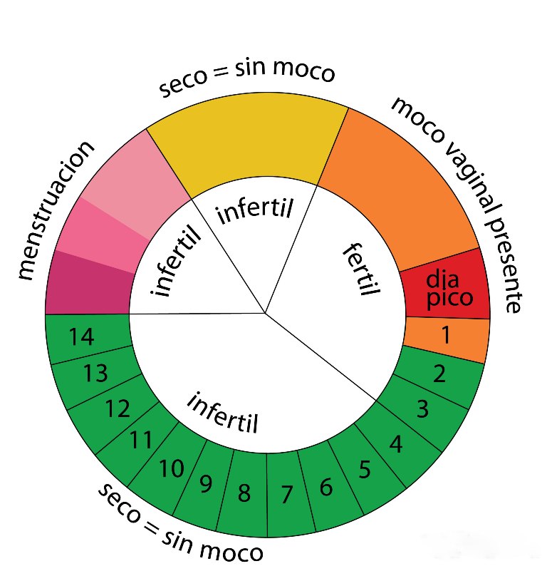 Metodo del ritmo : Metodo del ritmo