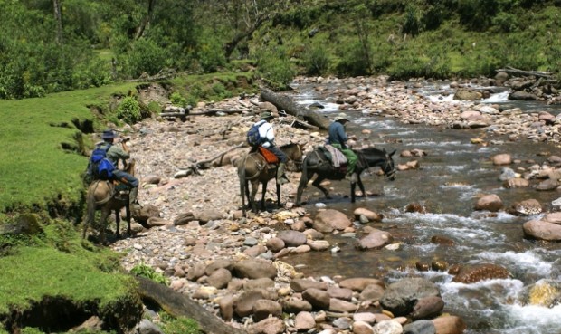 EL MAÑANERO NOTICIAS - SAPOSOA: GRAN SAPOSOA : LA CIUDAD PERDIDA EN LA ...