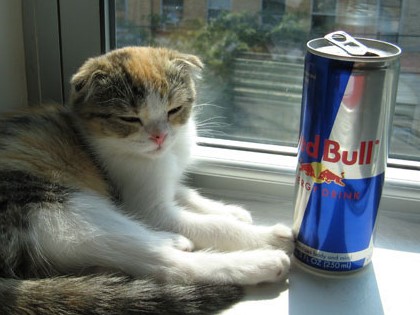 The IPKat: Not crazy enough: Red Bull succeeds over Crazy Bull in Greece