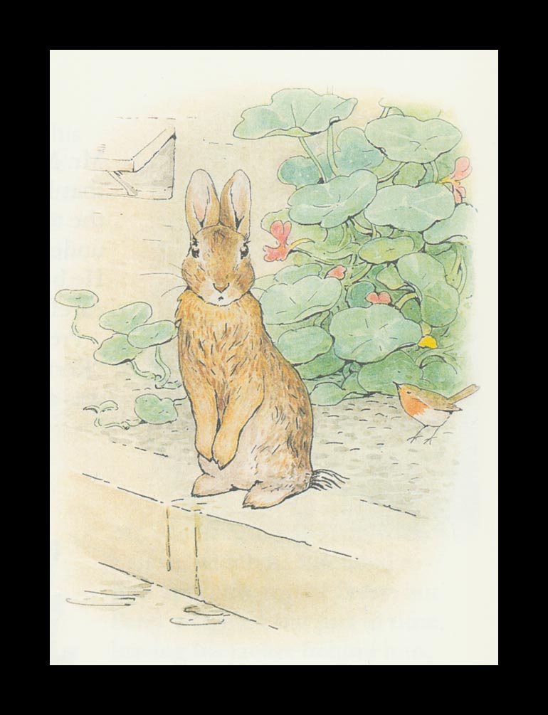 Painting of Beatrix Potter artist, Beatrix Potter paintings
