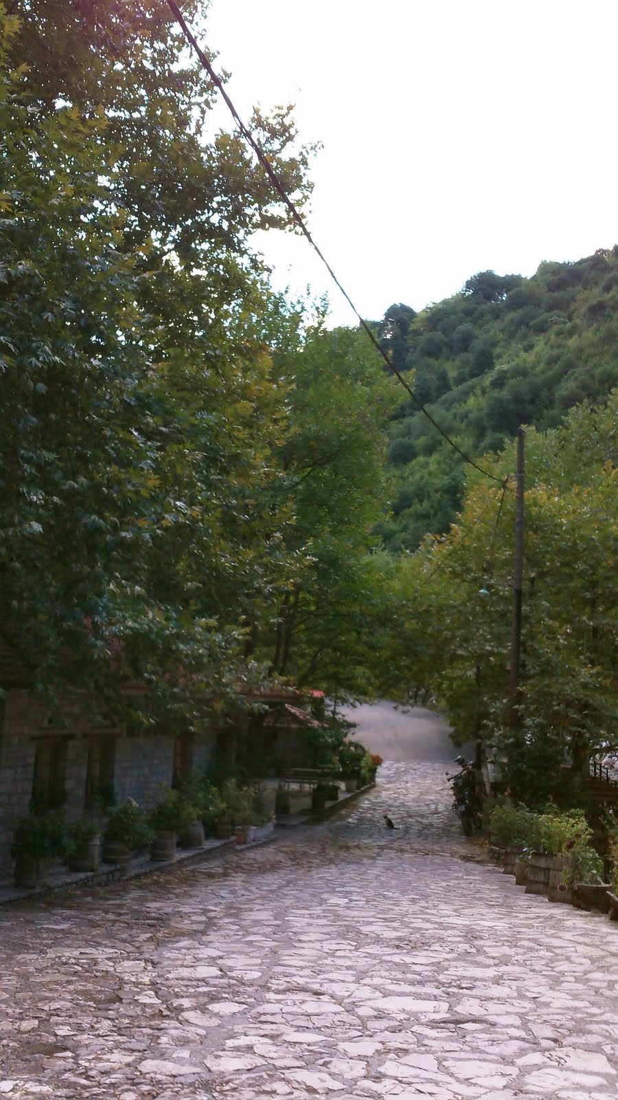 sotris like motoris: Oct 5, 2011