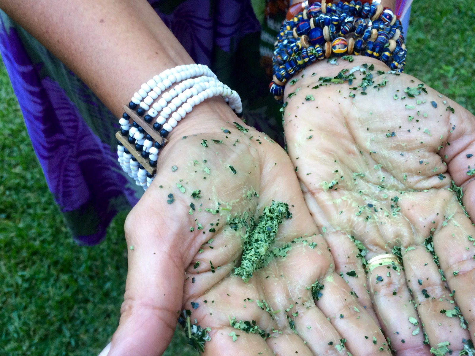 Re-wilding: deepening our connection with self, place and indigenous ...