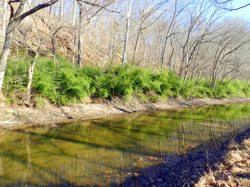 Hiking with Megan in Maryland and Beyond: C&O Canal: Swains Lock to ...