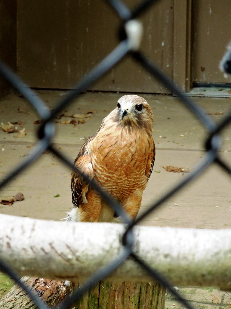 A Curmudgeon Abroad : A brief respite from the wretched stench of failure