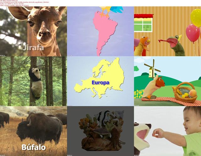 Baby Einstein: Aventura en el Mundo Animal [DvdRip] [Audio Latino] [LB ...