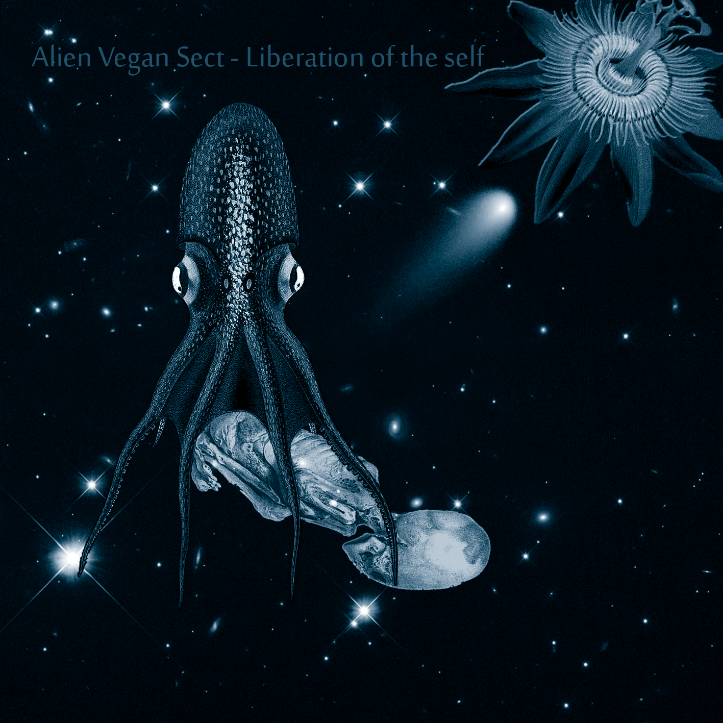 nostalgie de la boue: Alien Vegan Sect - Liberation Of The Self