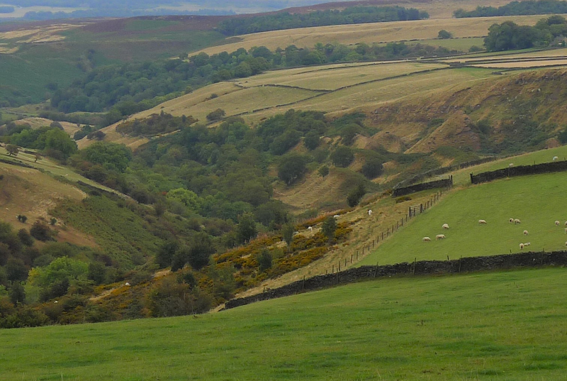 Mines and minerals in Derbyshire (UK): Ladywash Mine