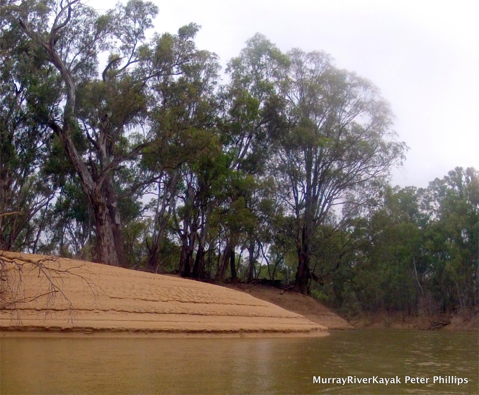 Murray River Kayak.: Day 9: 1325 to1261 km to the sea: Tooleybuc to ...