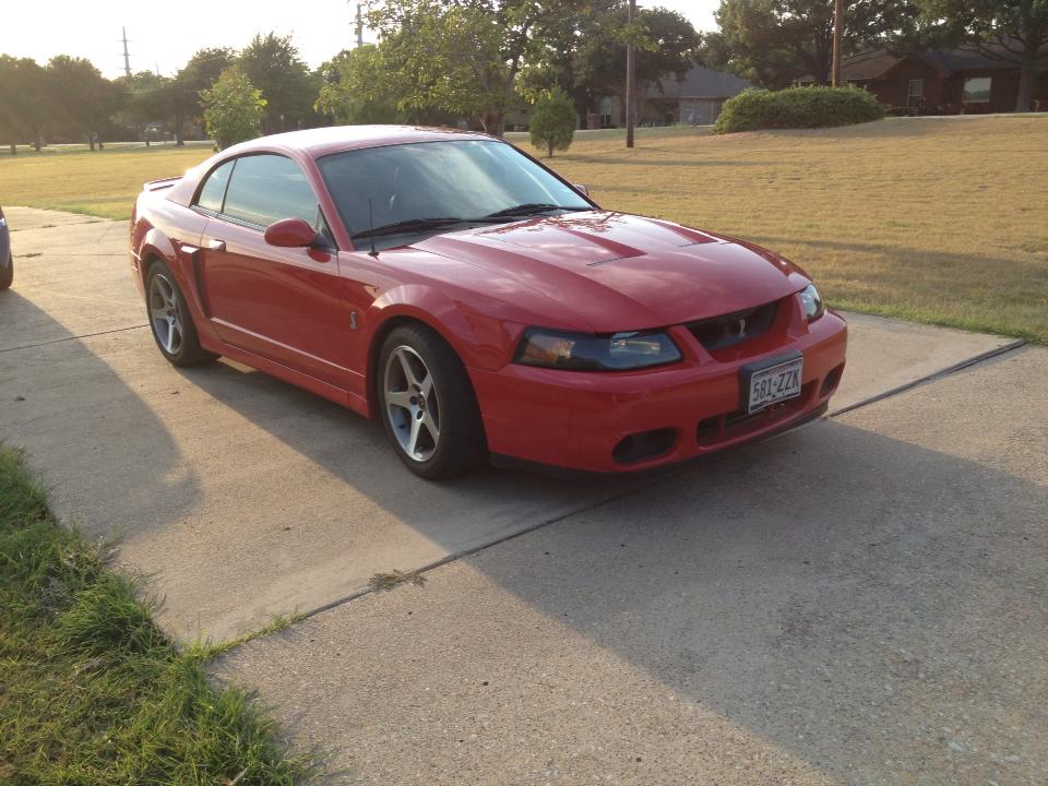 Whiteboy's Mustangs: 2003 mustang cobra Torch red svt#1736