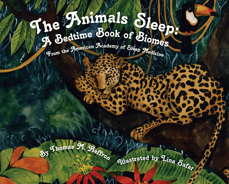 Book Review: The Animals Sleep | Sleep Education Blog