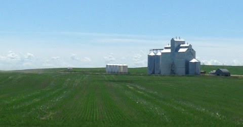 The view from here: Milo, Alberta June 20, 2015