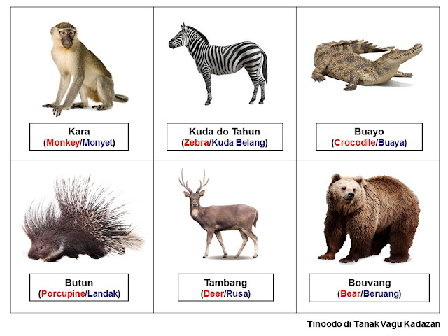 Tanak Vagu Kadazan Dusun: Tazam Tosizau (Wild Animals, Binatang Liar)