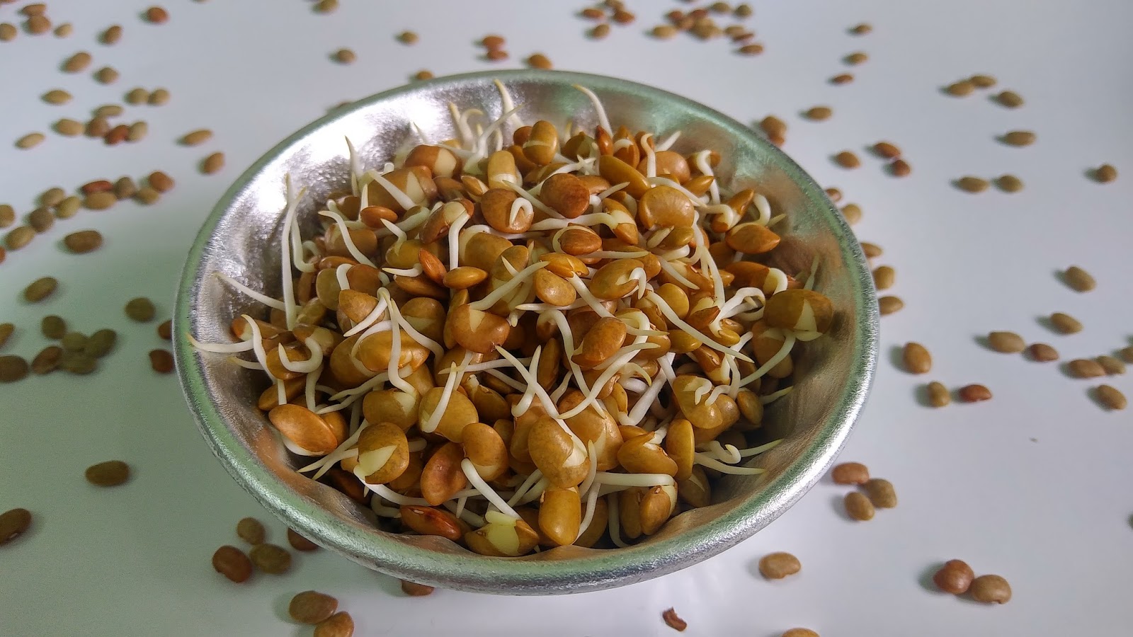 Sangita's Cookbook: Sprouted Horsegram or kulthi Dhal Curry / Kollu ...