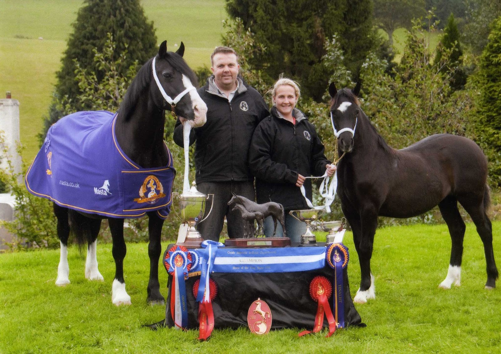 Absorbine Sponsors the Popsters Show Team - Absorbine