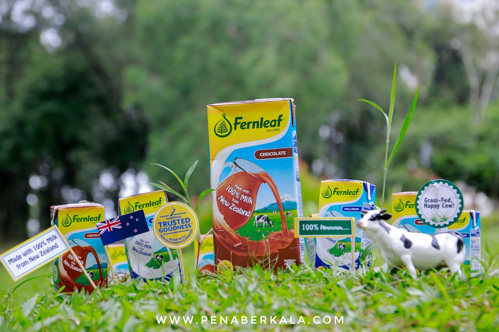 SUSU FERNLEAF UHT KINI DI MALAYSIA