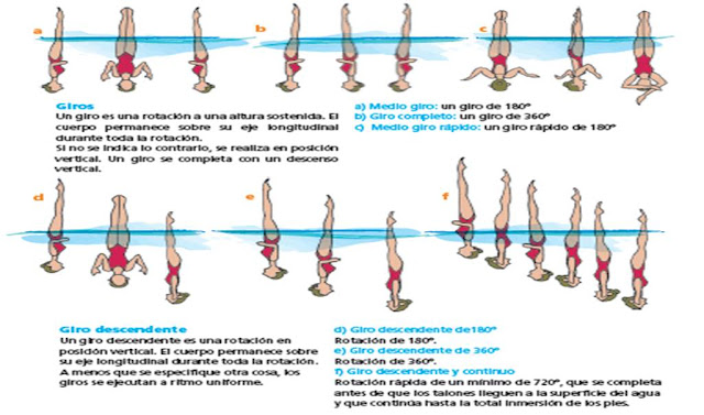 Nado Sincronizado: Posiciones