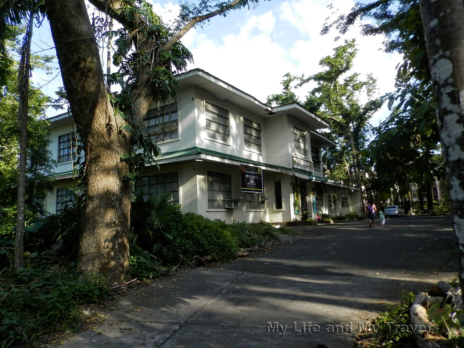 My Life and My Travel: The UPLB Museum of Natural History