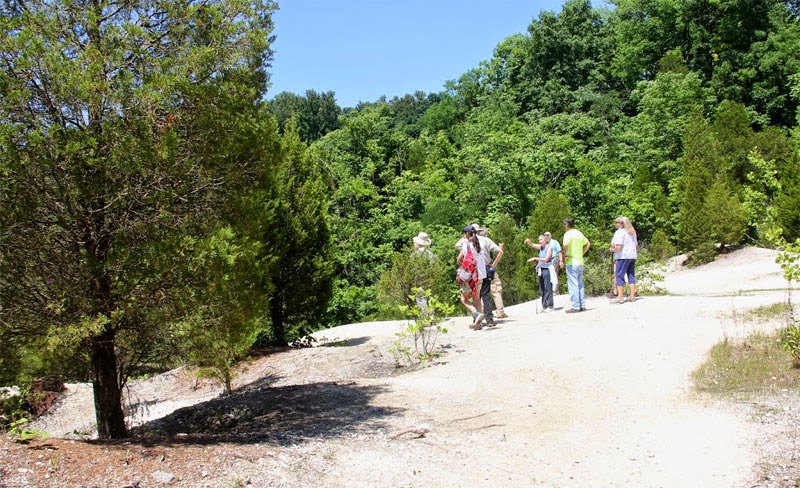 Ijams Journal: Ijams Hiking Club explores Burnett Ridge in Urban Wilderness
