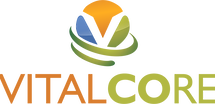Vital Core Business Consultants