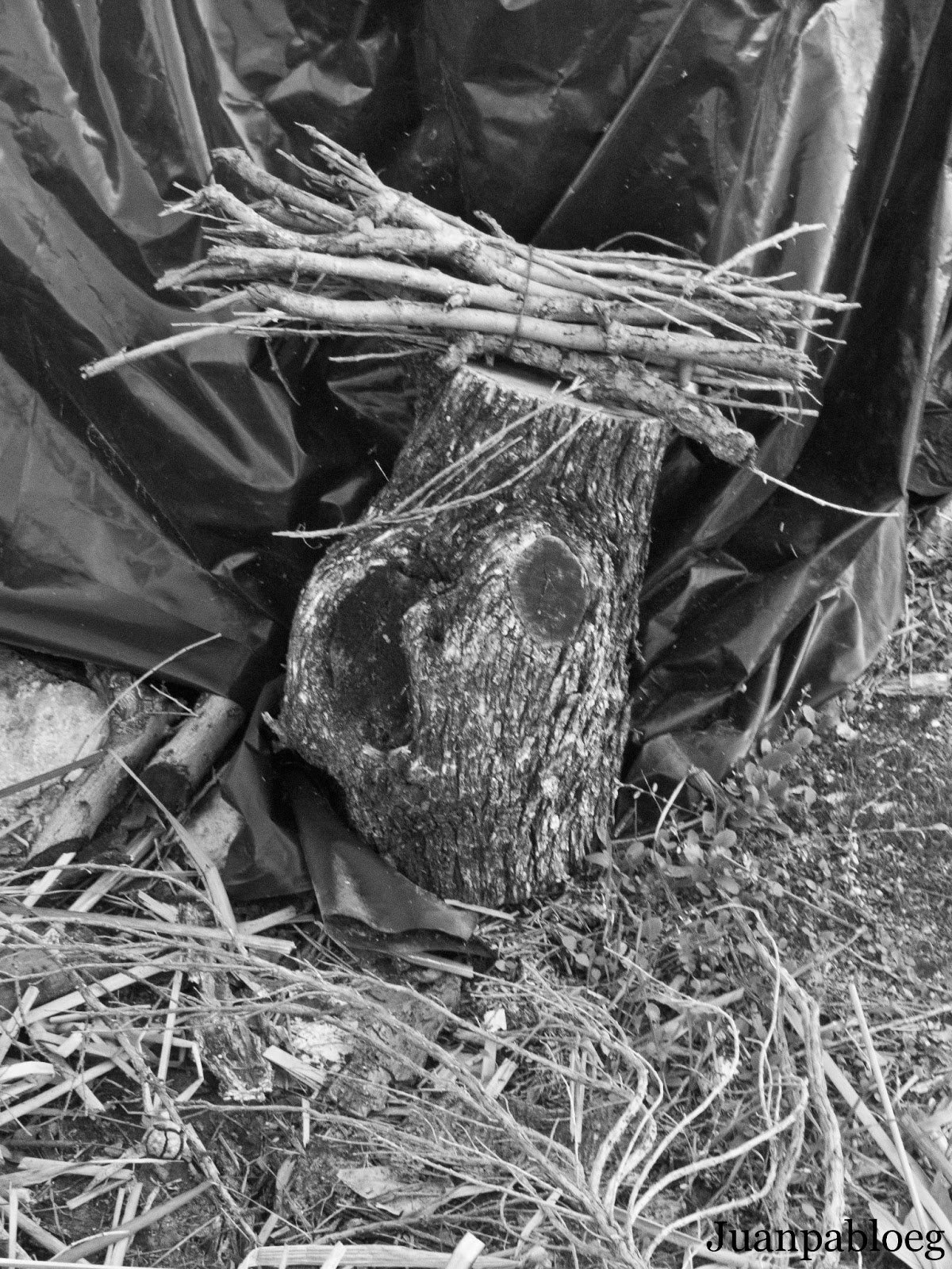 Juanpabloeg: El Trozo y sus Ramas / The Piece and its Branches