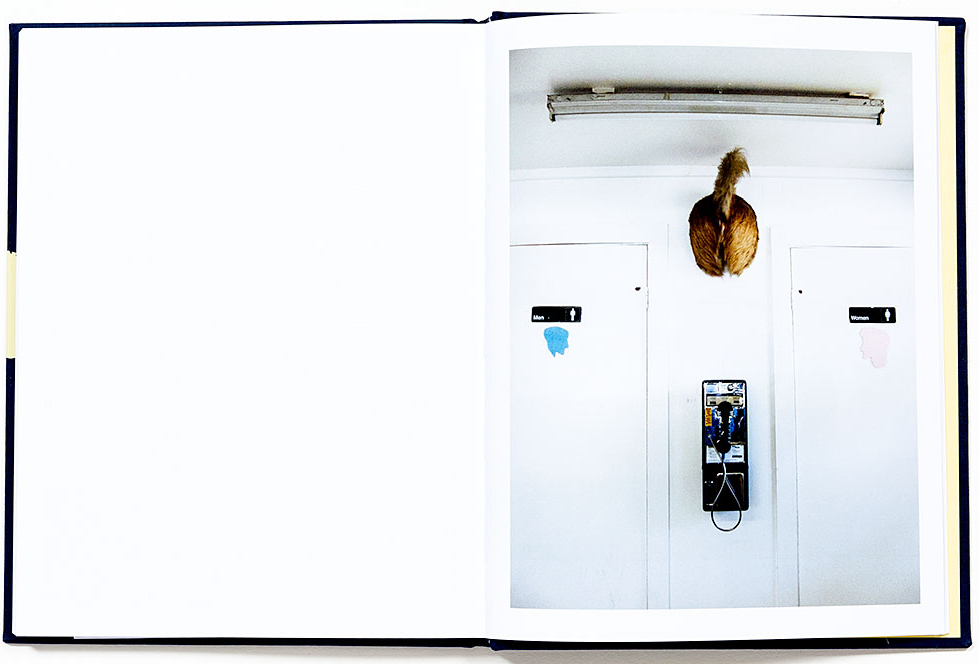 photo-eye | BLOG: Book of the Week: Too Tired For Sunshine by Tara Wray