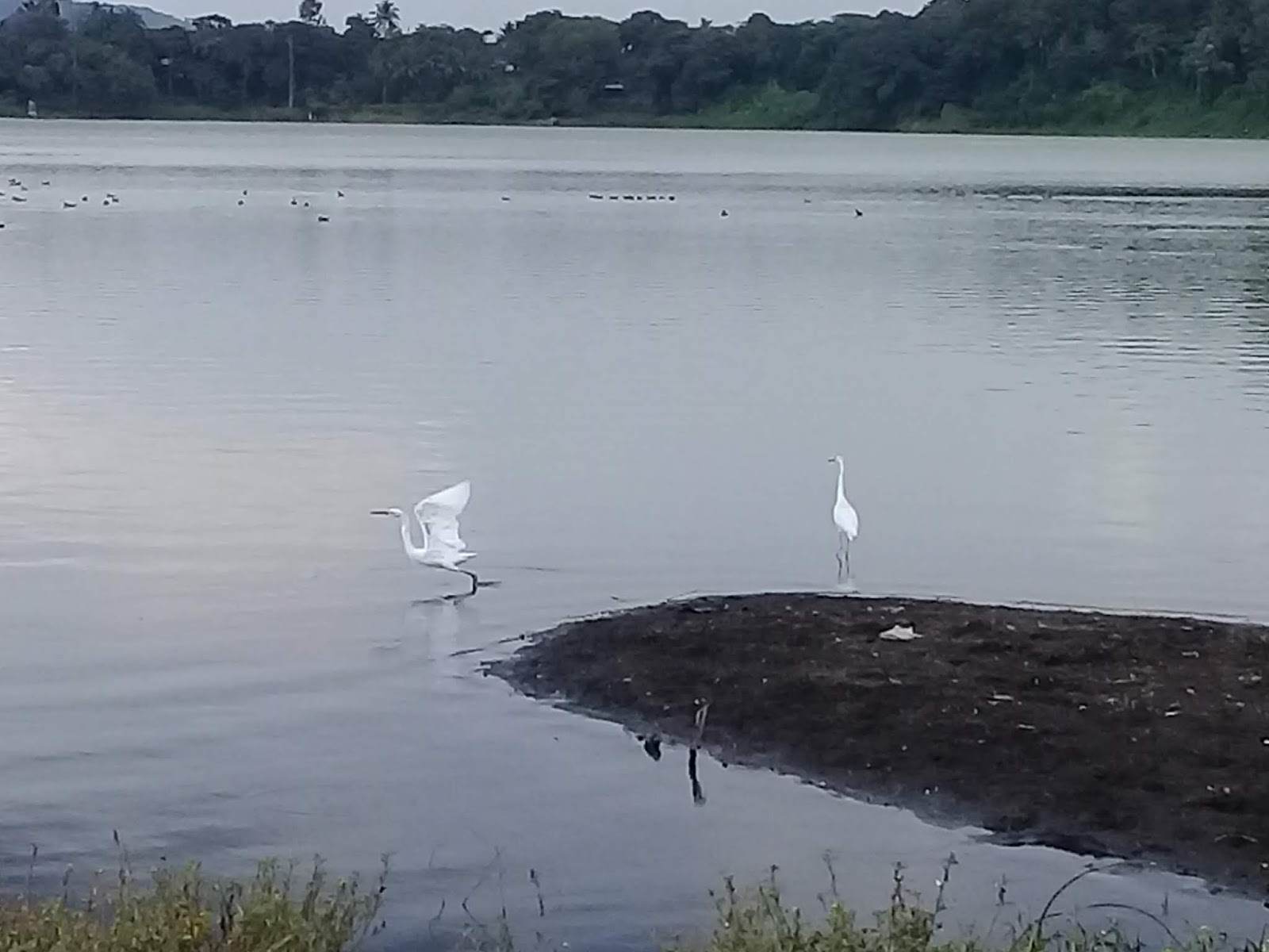 Michys Tours: Laguna de Chanmico