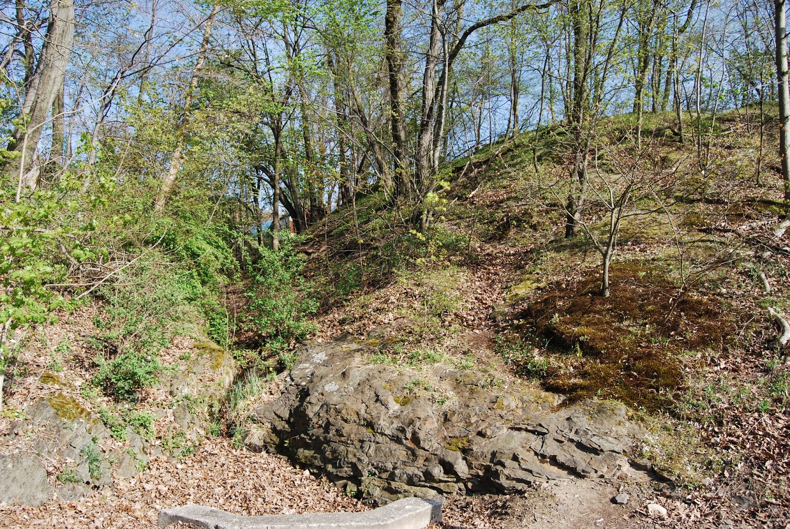 1756 Ambush at Bloody Spring