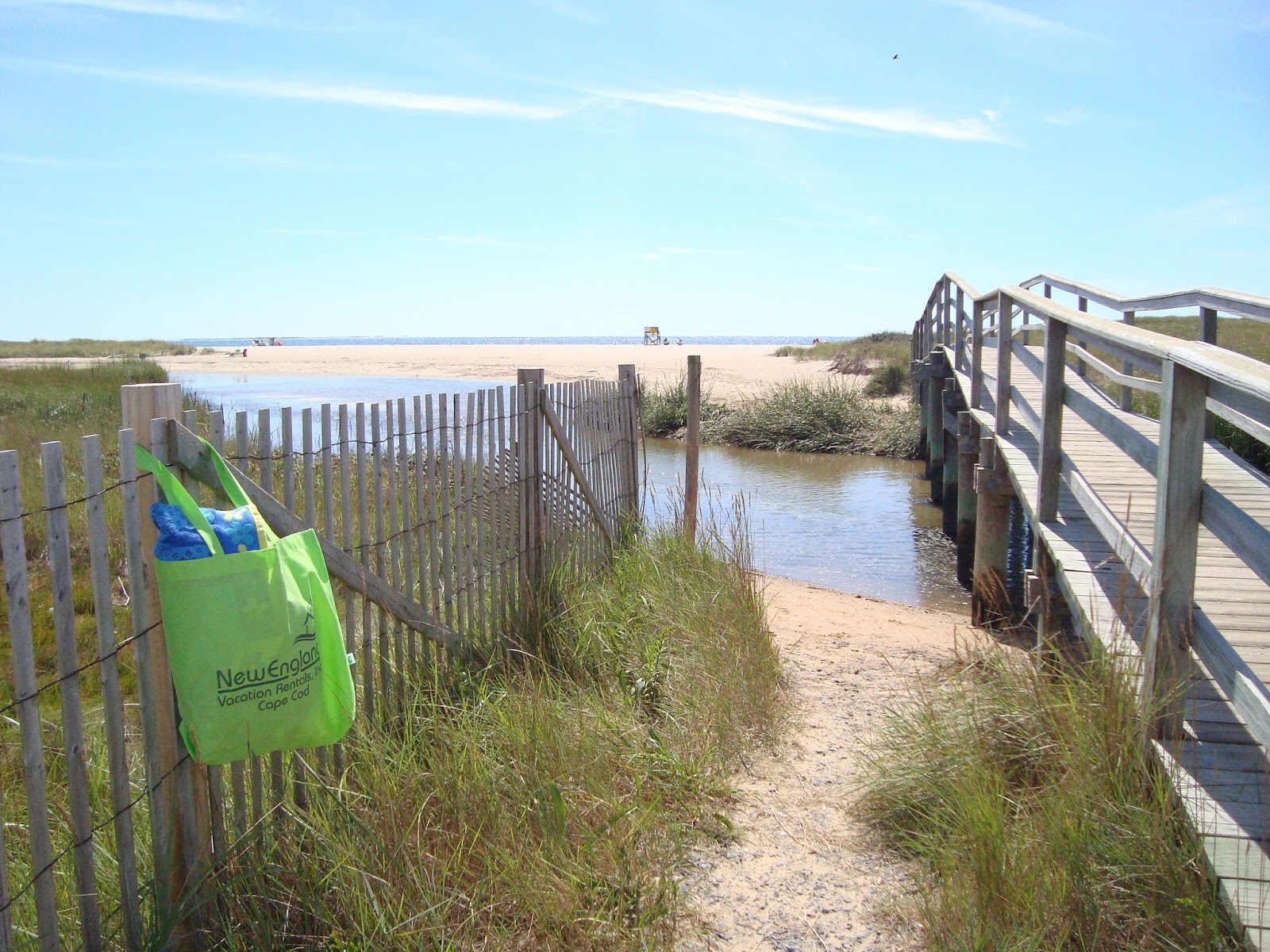 Say Yes to New England: Indian Summer on Cape Cod!