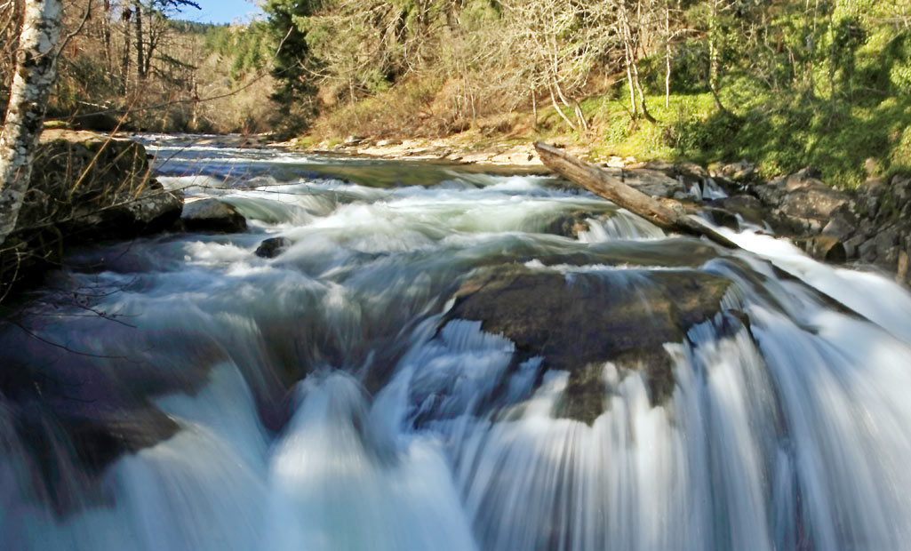 Tamilnadu Tourism: Kiliyur Falls, Yercaud