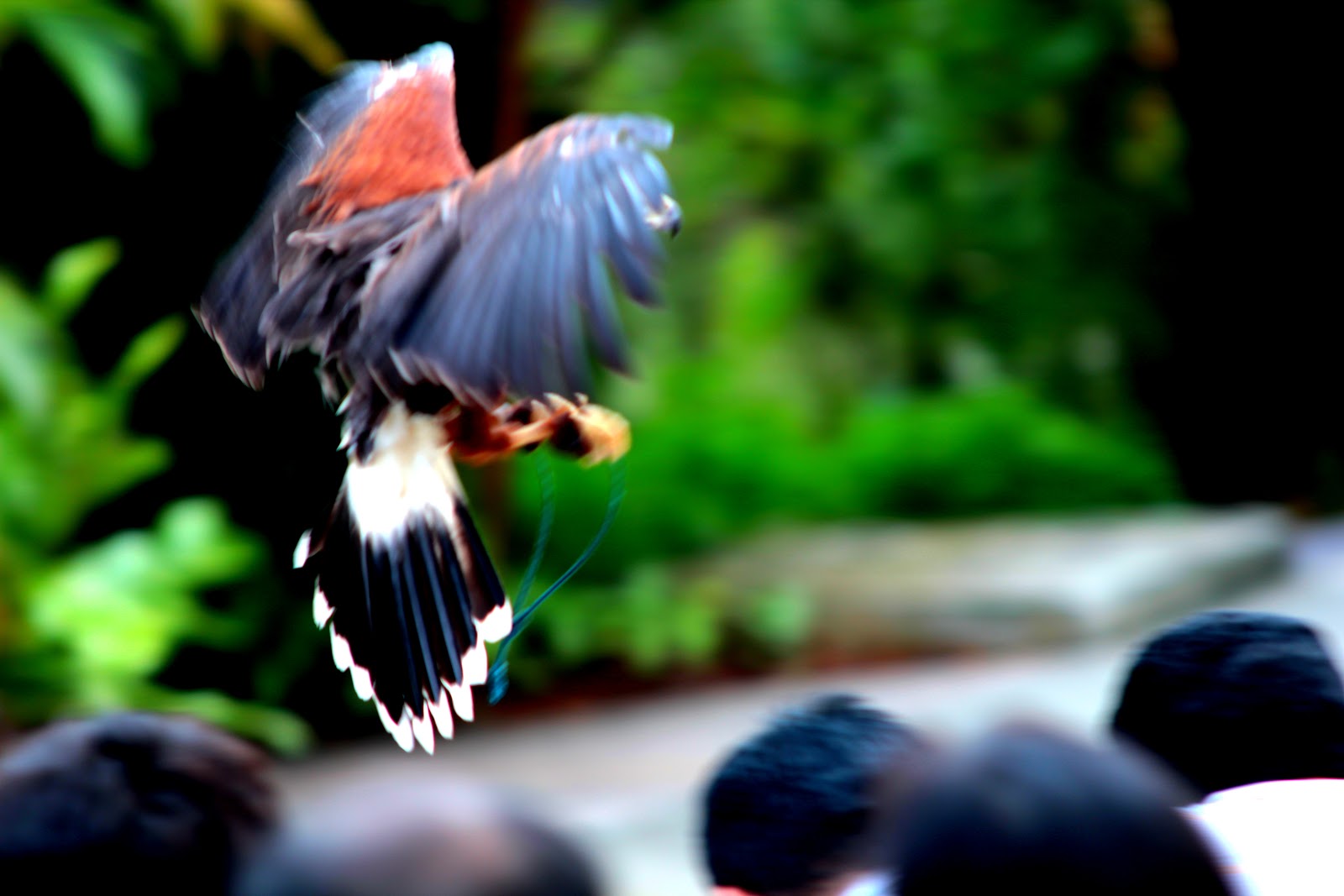 Palawan Amphitheatre, Palawan Beach