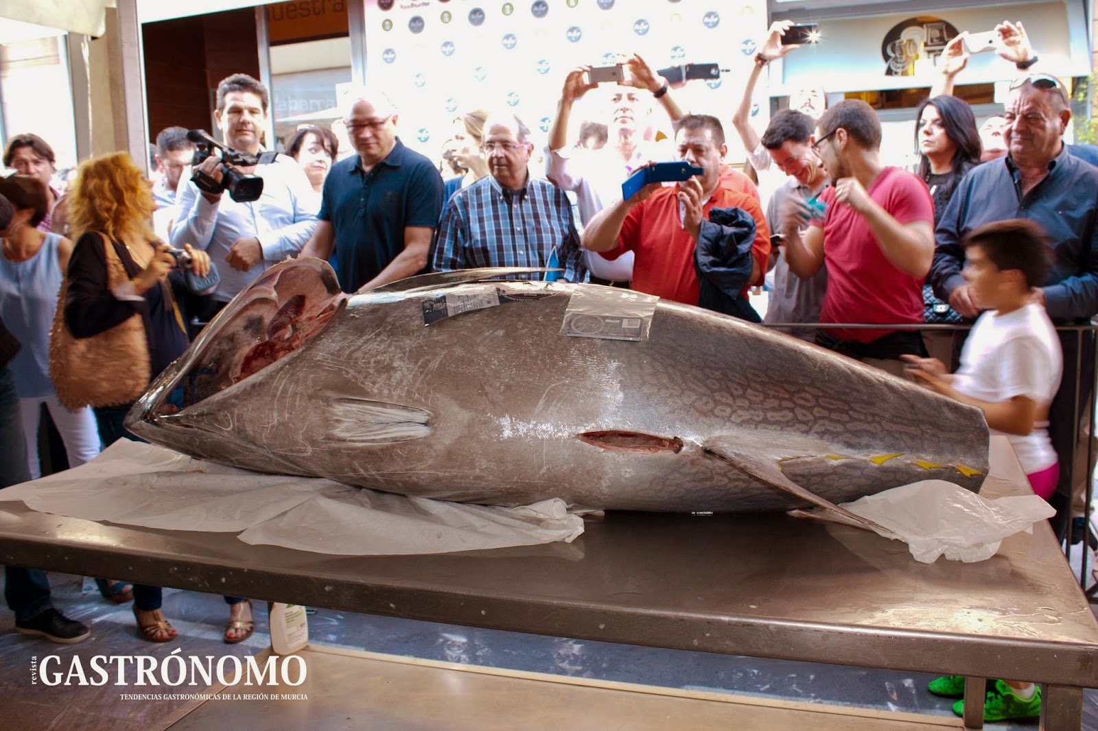 Ronqueo de Atún con motivo de las II Jornadas del Atún Rojo del ...