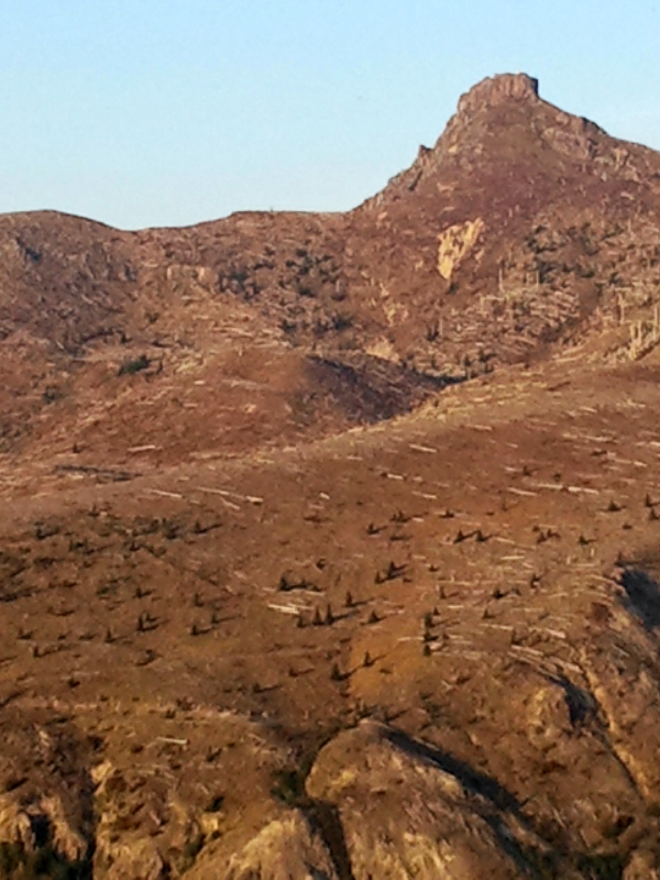 Heroes, Heroines, and History: Mount Saint HelensThen and Now