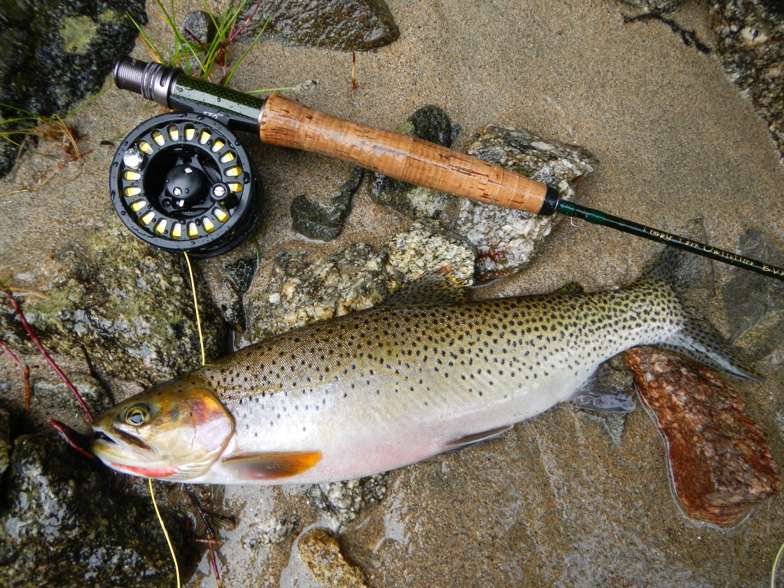 Bryanlikestofish: A Day at the Office