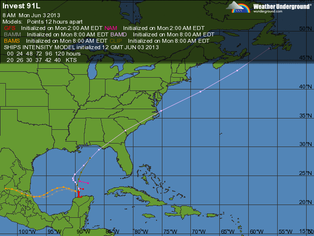 New Orleans Pet Care: Invest 91L