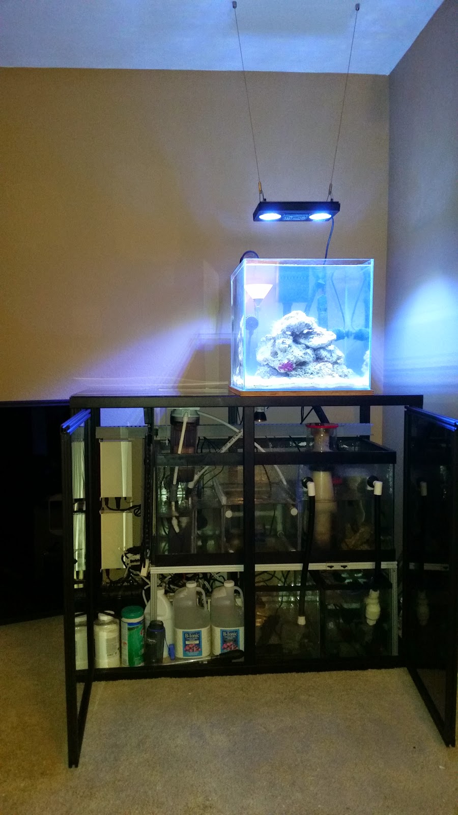 Jake's Saltwater Aquarium: 80/20 Fish Tank Stand