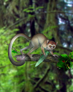 Species New to Science: [PaleoMammalogy • 2013] Archicebus achilles ...