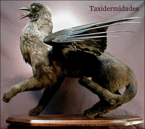 "Rogue Taxidermy" o "Taxidermia engañosa". | Taxidermidades