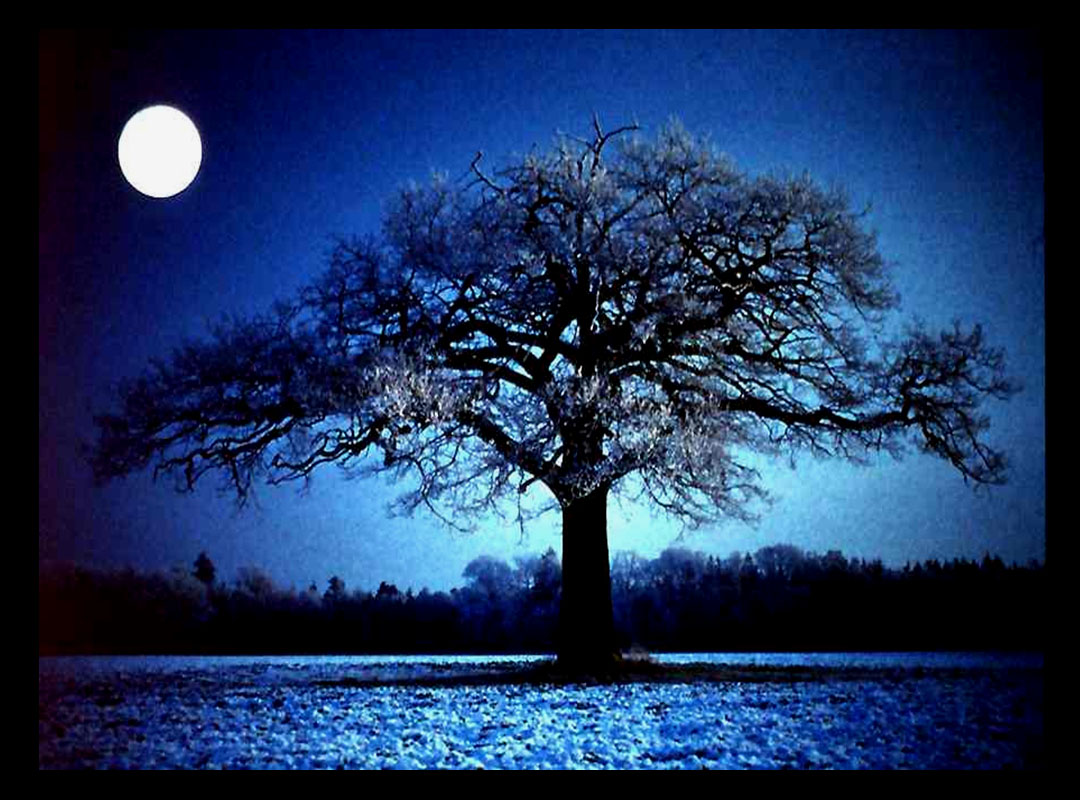 masaxy: Imagens Lindas - para Compartilhar