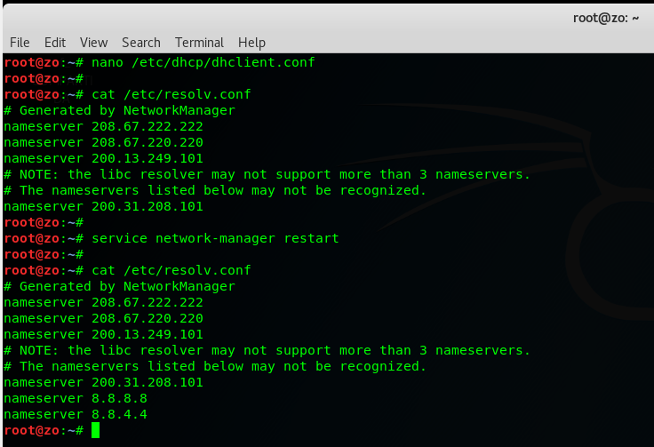 CÓMO CAMBIAR LOS DNS EN KALI LINUX
