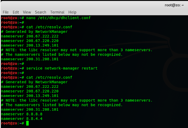 CÓMO CAMBIAR LOS DNS EN KALI LINUX