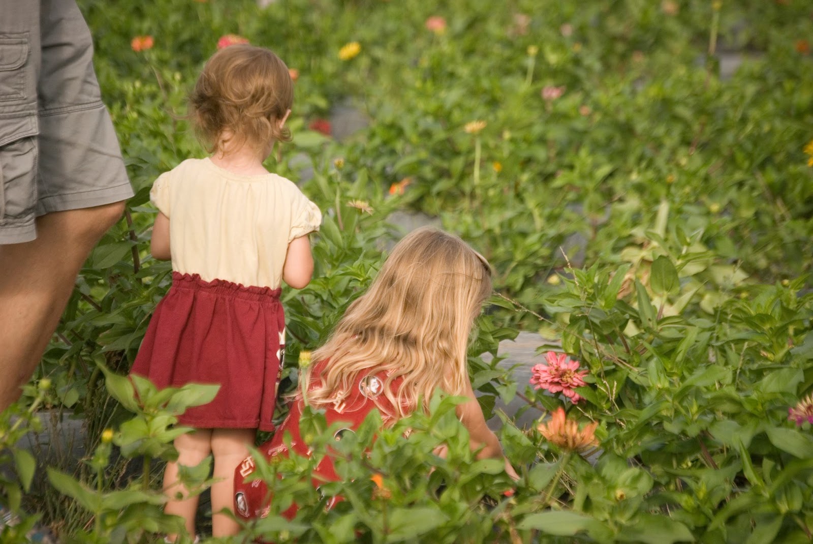 The Pocock Family: 2016