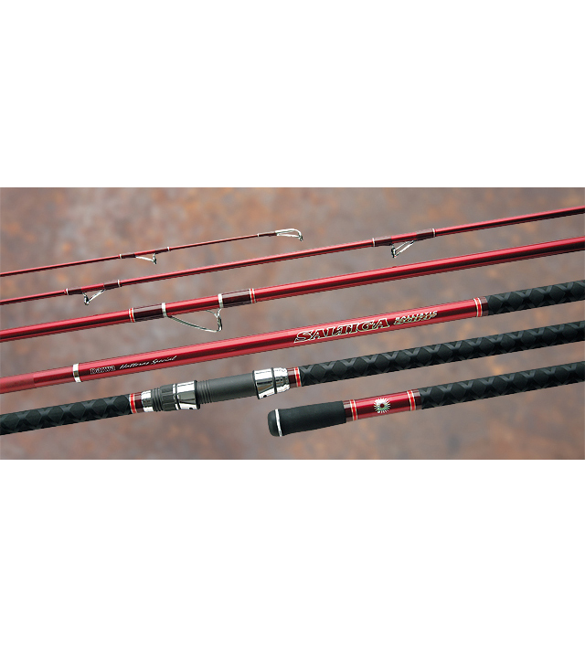 Survive the Elements: Daiwa Saltiga Ballistic Surf Rods