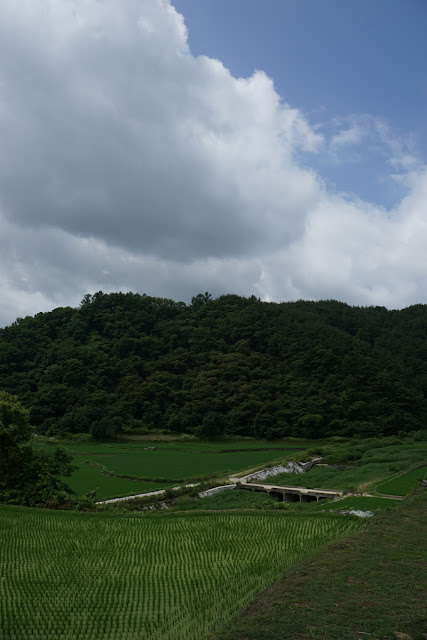 qpapp: 과정리에서 함양군 수동면까지! 강아지 달리와 전국도보여행중 7일차 From Gwajungri to hamyang ...