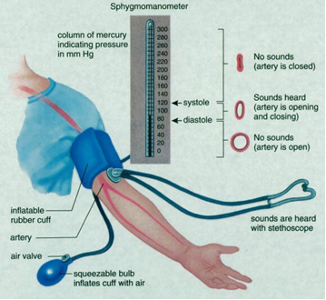 Makalah Kalibrasi : Non-Invasive Blood Pressure (NIBP) ~ Edukasi ...