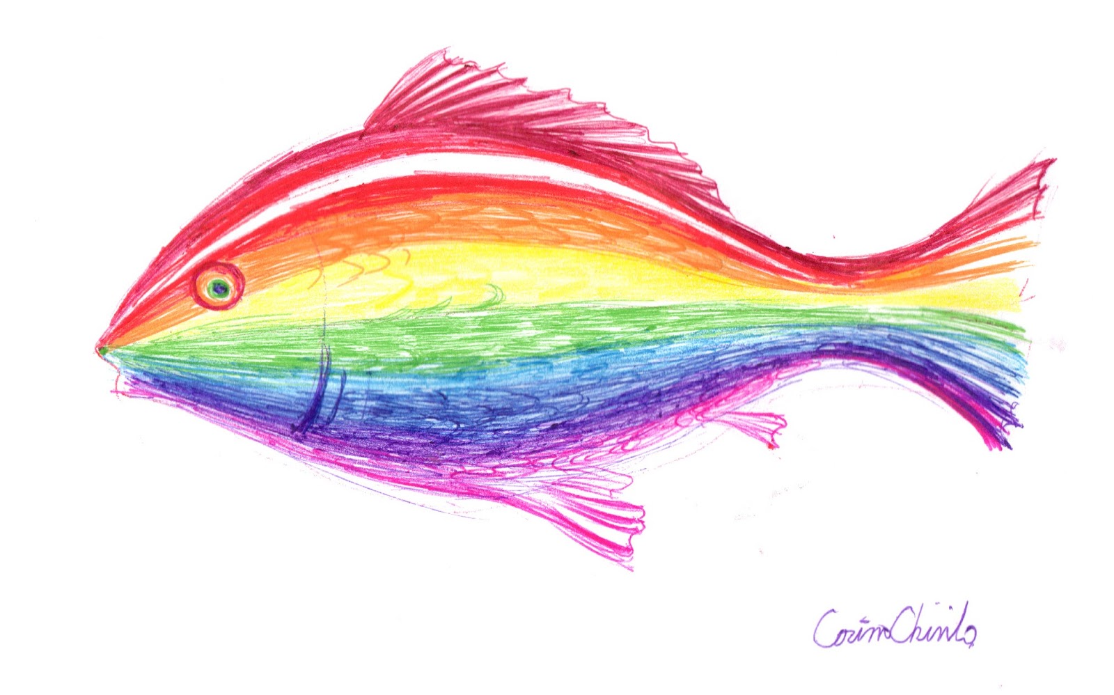 Grafica si pictura de Corina Chirila: Pestele curcubeu