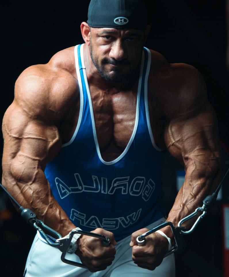 Muscle Lover: The incredible Anwar!